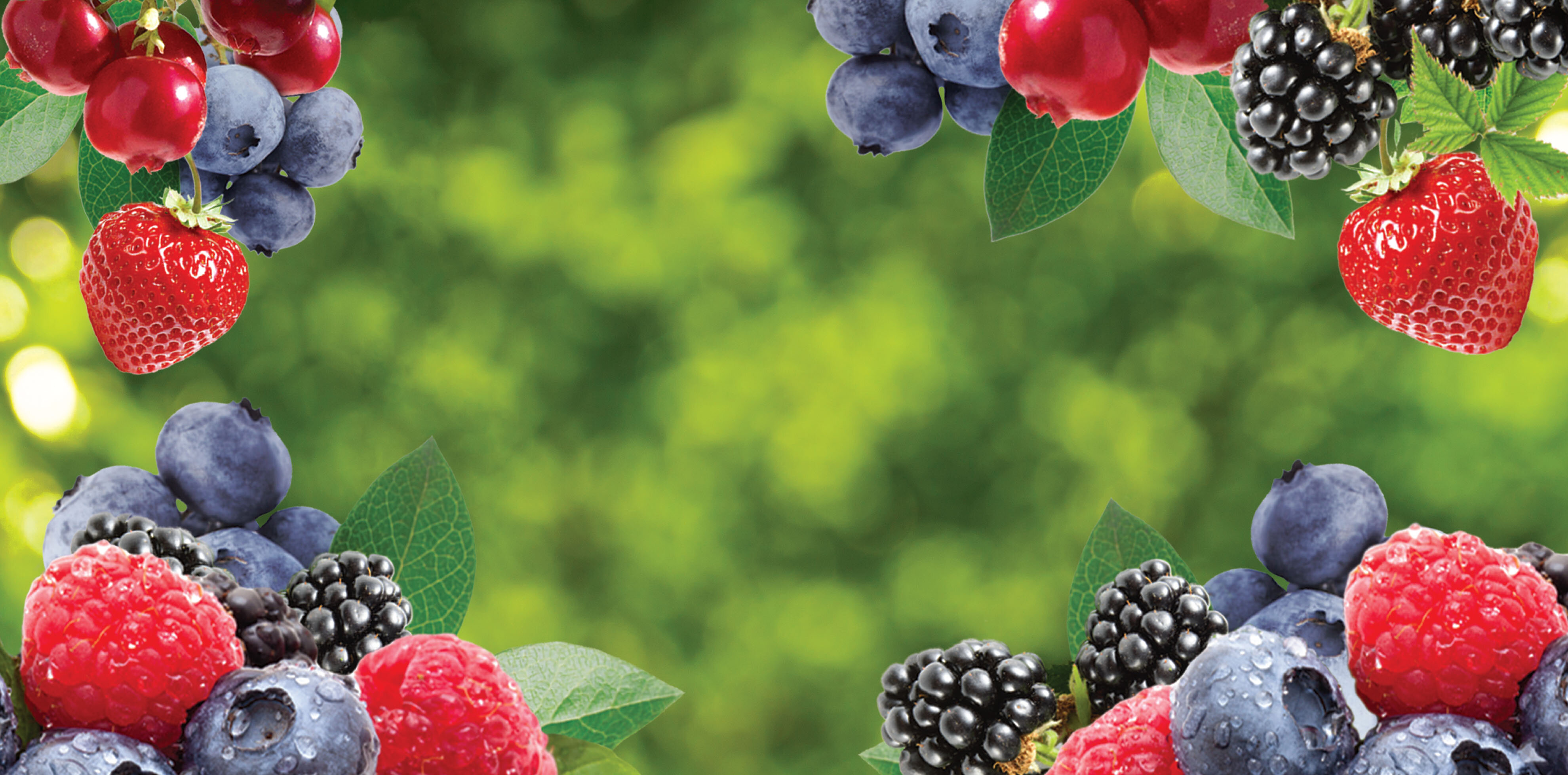 Forest Fruit | ARBRE MAGIQUE | Car Air Freshener